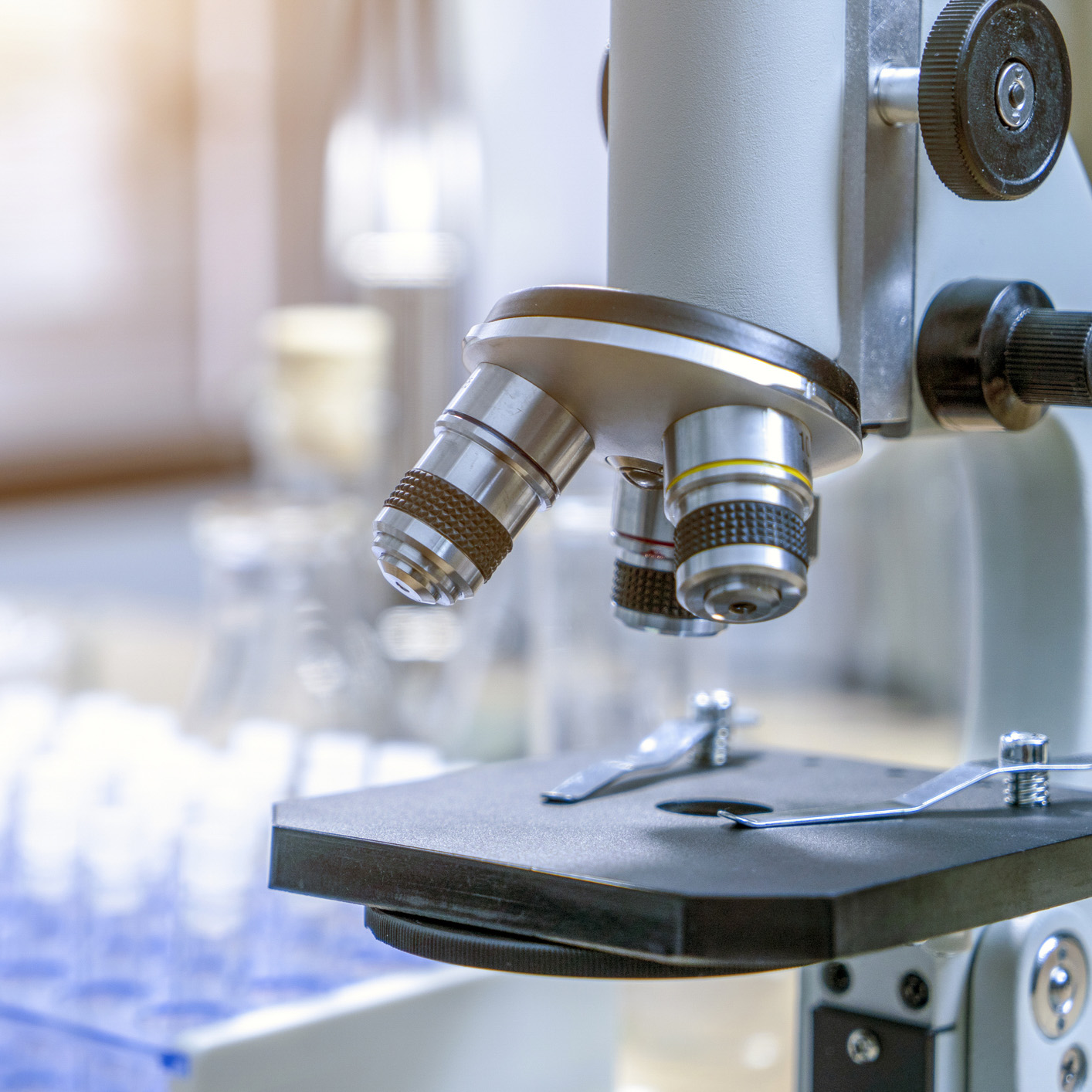 Home | NSF - National Science Foundation